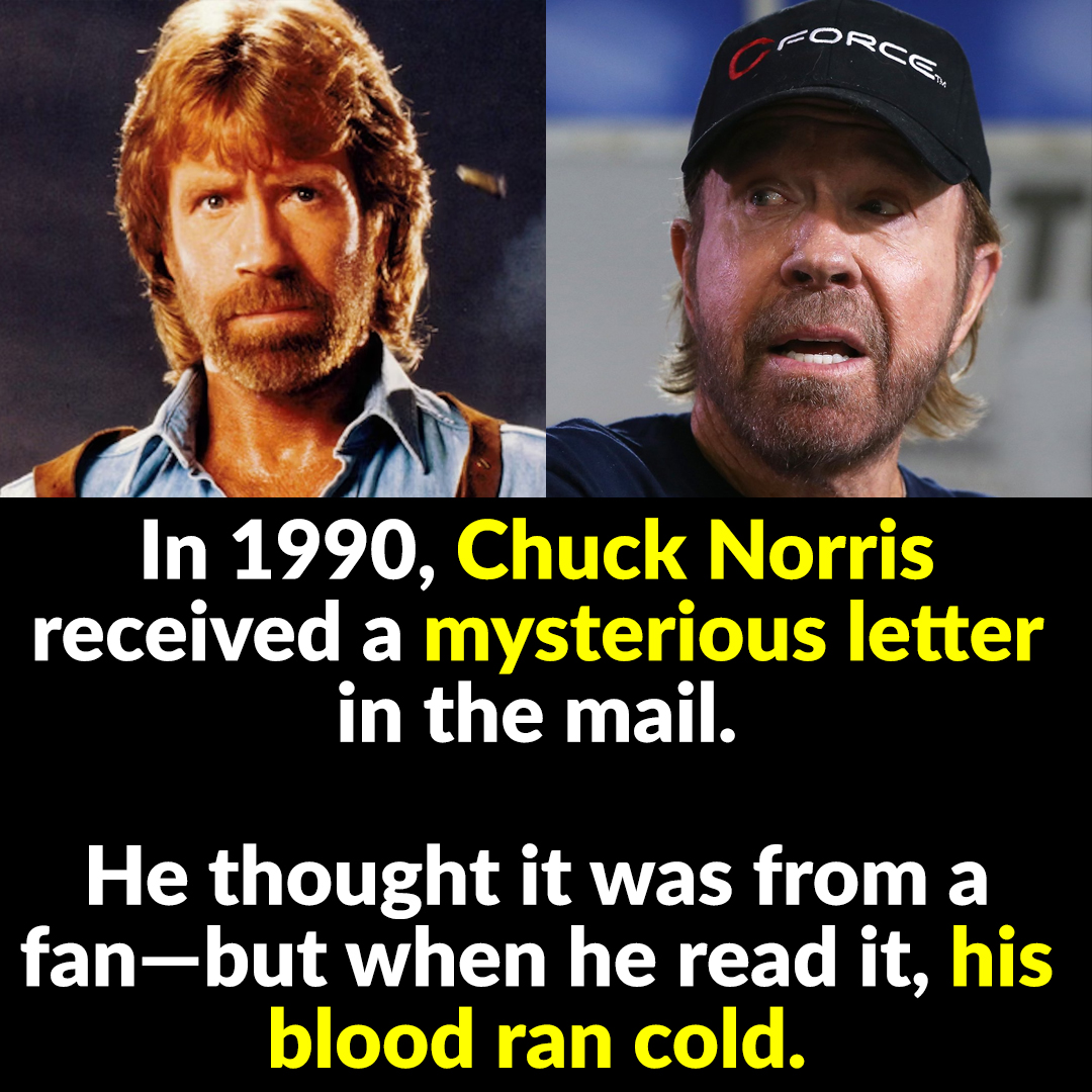 Hard Facts About Chuck Norris, The Invincible Star